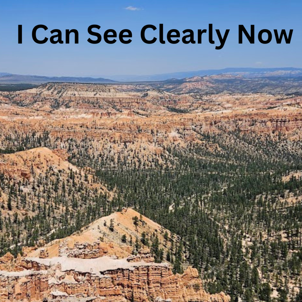 Day 276 - I Can See Clearly Now - The 365 Commitment